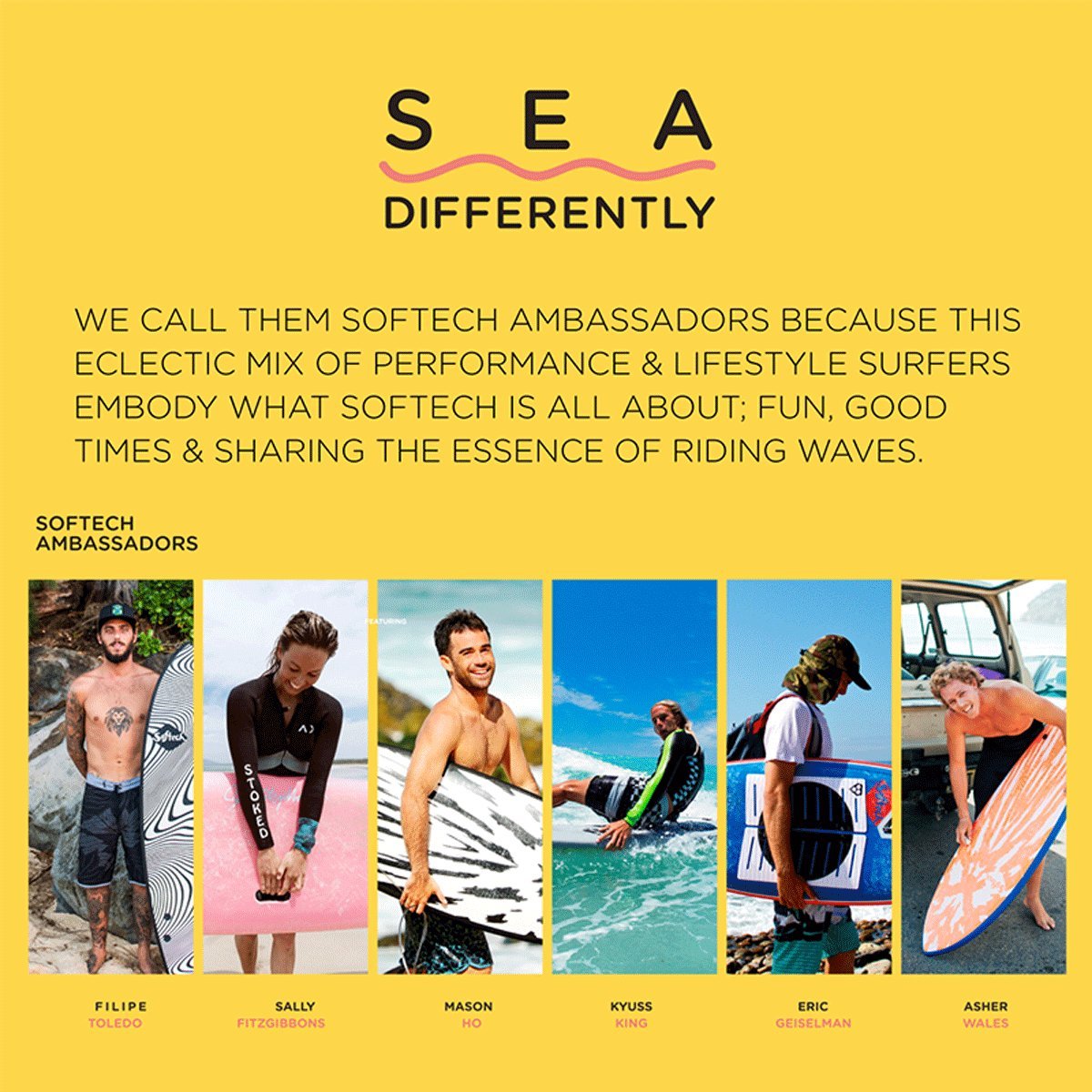 SOFTECH — Jungle Surf Store